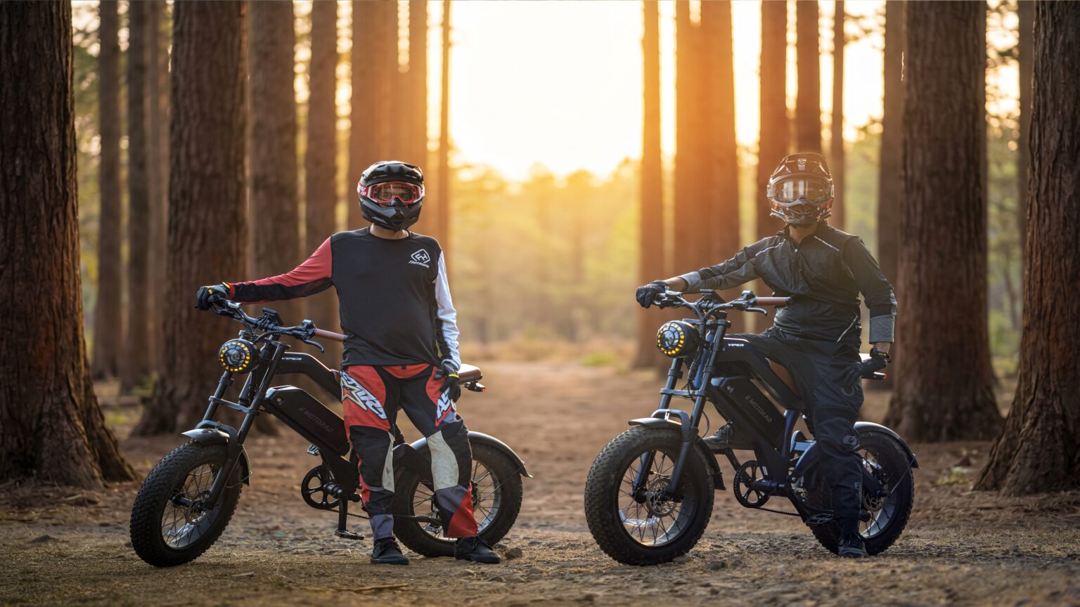 EMotorad Viper Electric Cycle Launched in India